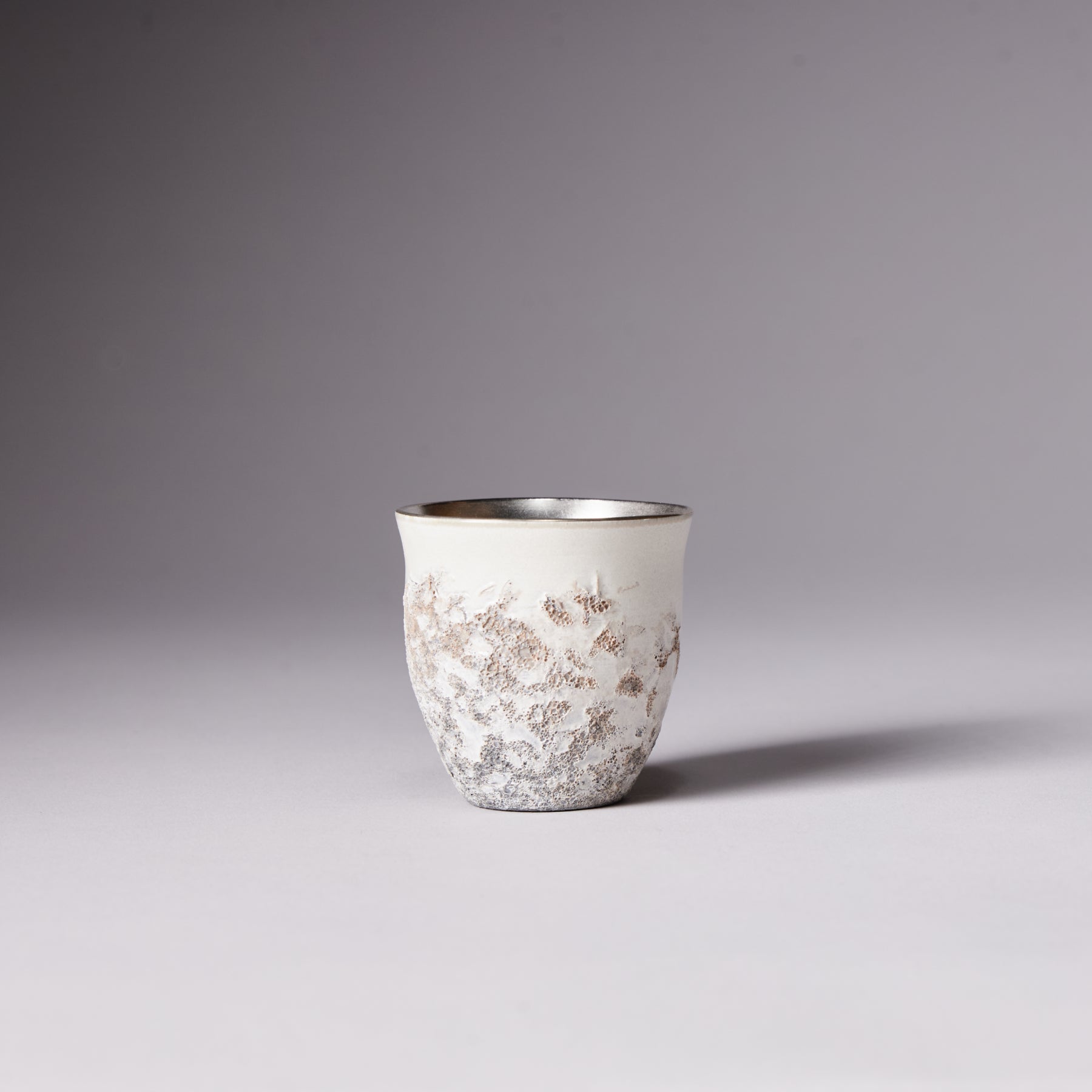 Ryuta Fukumura (福村龍太) Silver-Glazed Cup 2534 | ARJ Los Angeles